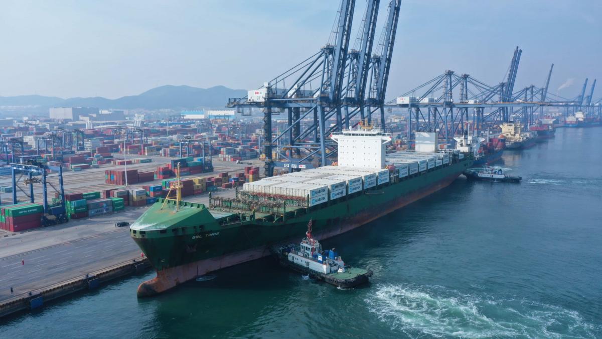 New Dalian ‘Cherry Express’ Line Bolsters Northeast China’s Cherry Distribution Capacity ...